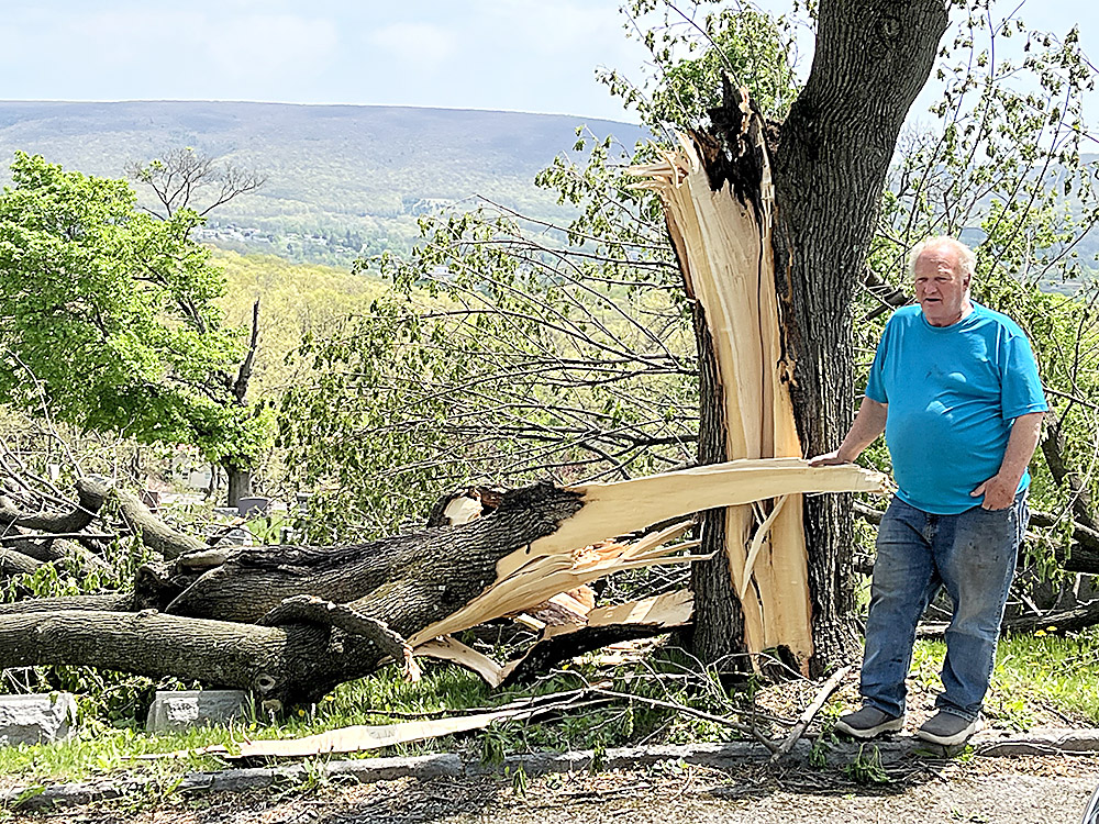Trees damaged at Altoona’s Grandview Cemetery | News, Sports, Jobs ...